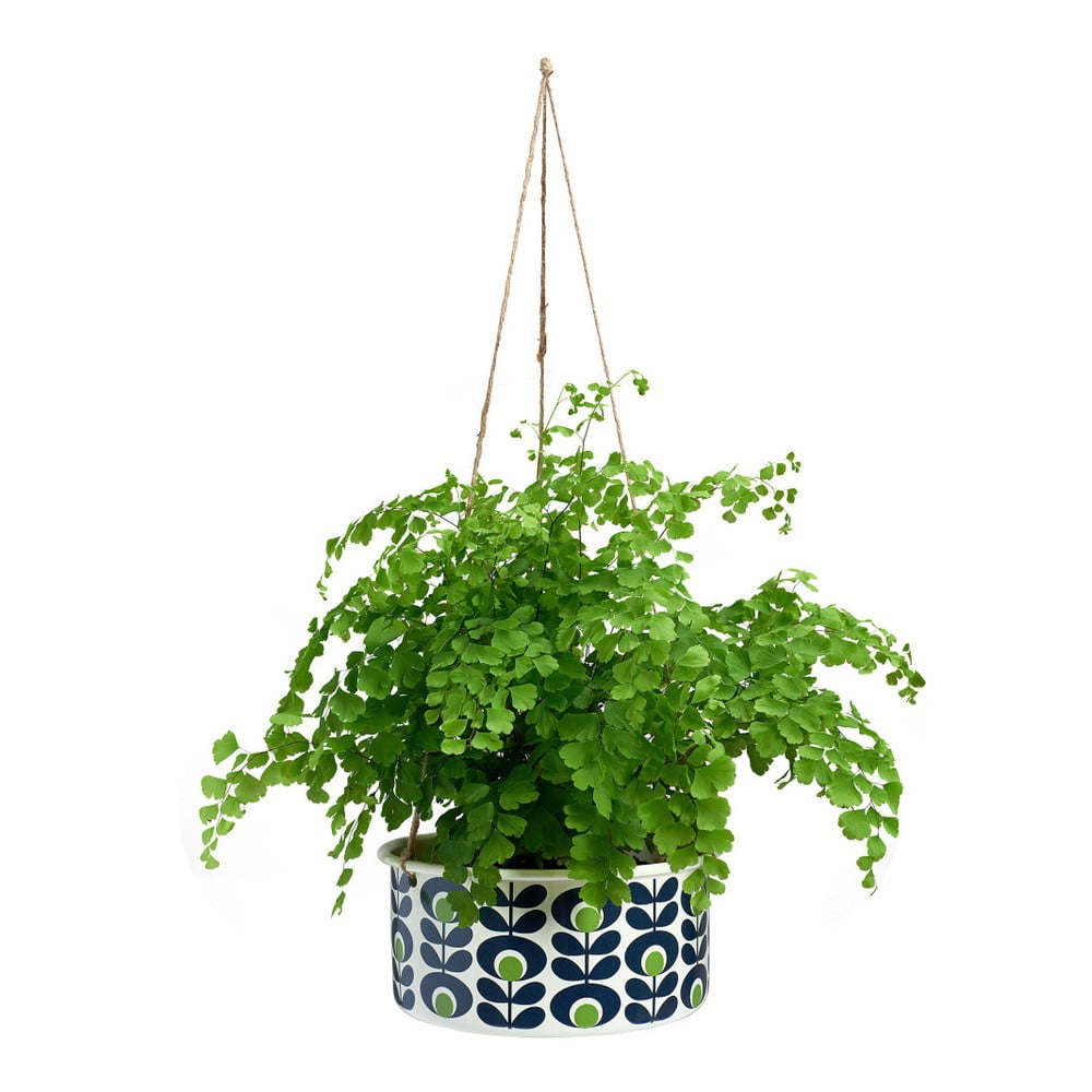 Závěsný květináč Orla Kiely Plant | Bonami